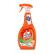 Mr Muscle All Purpose Cleaner 500Ml | MyIndia.Sg