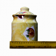 Clay Salt Jadi 1kg | MyIndia.Sg