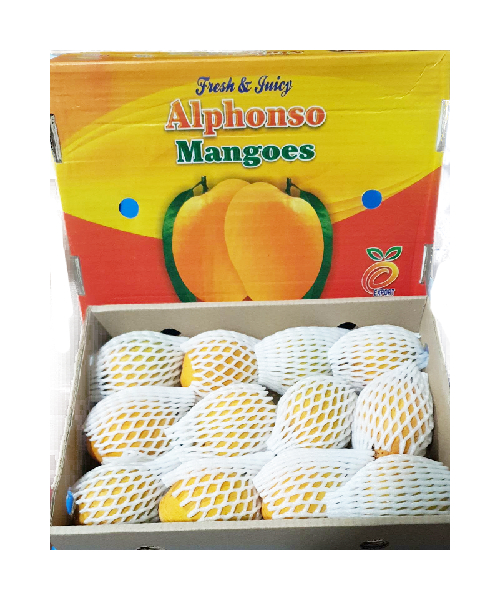 Alphonso Mango - Box 12pcs | MyIndia.Sg