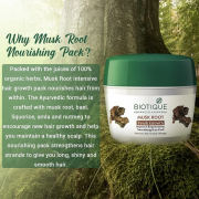 Biotique Bio Musk Root 230g(Musk Root Pack) | MyIndia.Sg