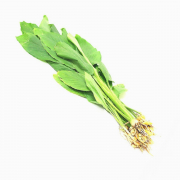 Turmeric (Manjal Kothu) Plant 2Pc | MyIndia.Sg