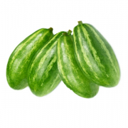 Parwal Vegetable 500g | MyIndia.Sg